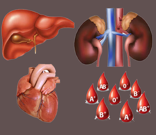 human body parts price in black market