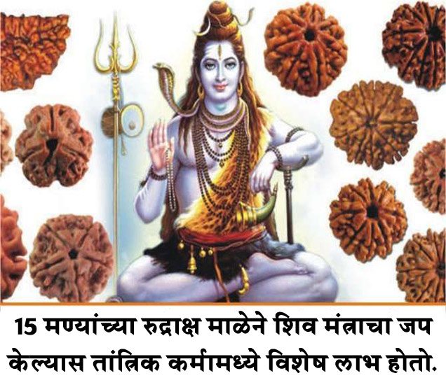 Rudraksha And Hindu Mythology In marathi