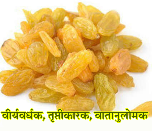 manuka eating health benefits news in marathi | रोज खाव्यात फक्त 10 ...