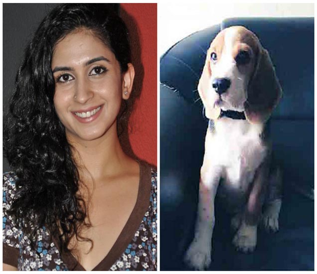 marathi celebrity pet photos, mrunmayee godbole is a big dog lover ...