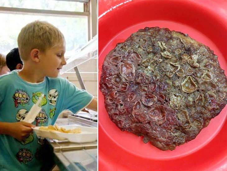 Student’s Disgusting School Lunch Picture Goes Viral, Everyone Stunned ...