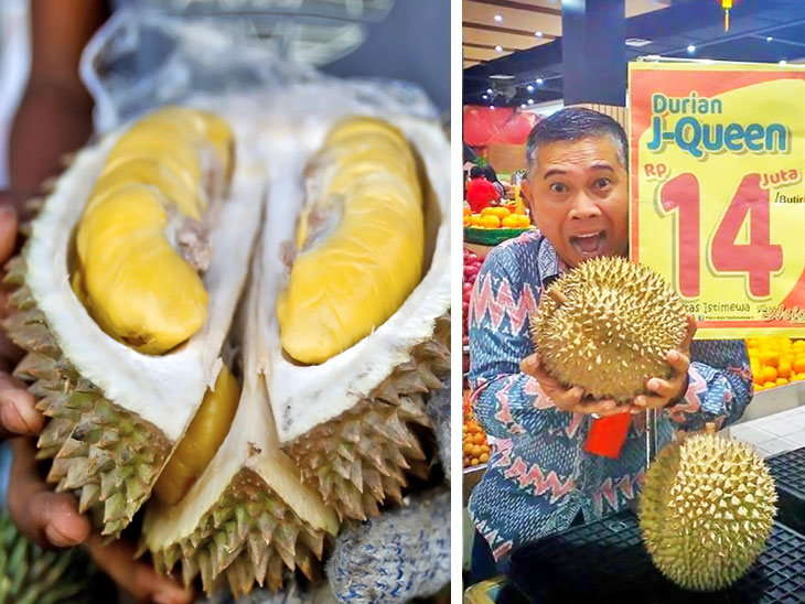 Rare Indonesian durian become viral in social media, Video | या देशातील ...