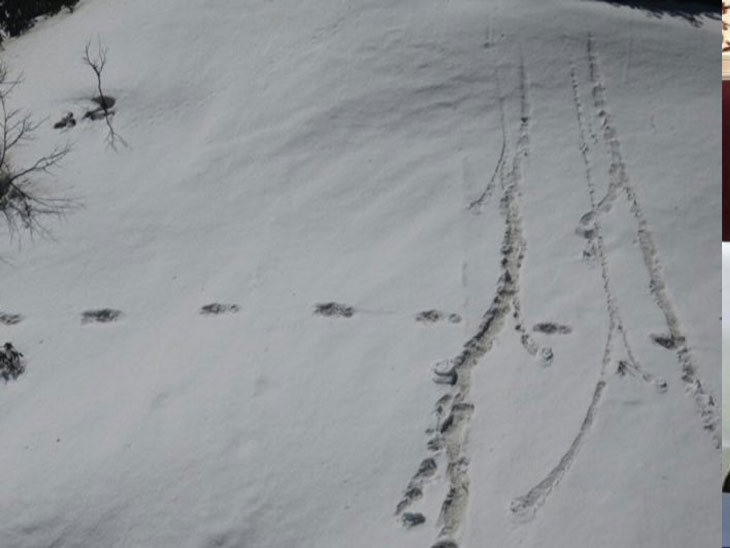 Indian Army Team claims Mysterious Footprints of mythical beast Yeti in ...
