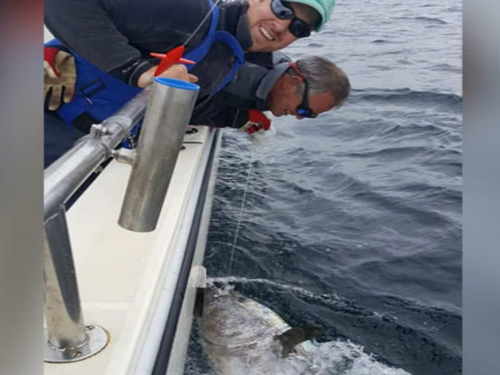 8 feet long fish worth Rs 23 crore found at sea | समुद्रात मिळाला 23 ...