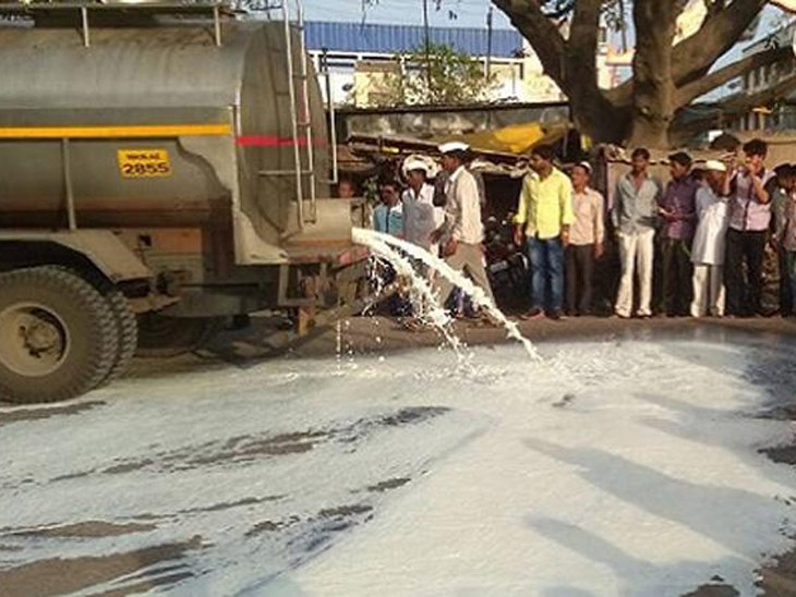 महायुती 1 ऑगस्ट रोजी राज्यभर करणार पुन्हा दूध आंदोलन, मुंबईत झालेल्या ...