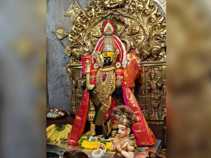 Bhajan, Jogva and Praise of the Goddess are sung daily by the devotees ...