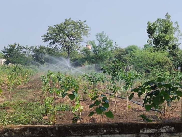 Hingoli । Oxygen Bank । Oxygen bank taking shape in Hingoli District ...