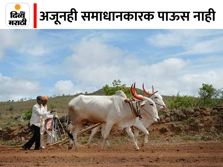 Only 11.27 per cent sowing so far in 56 thousand 14 districts; Last ...