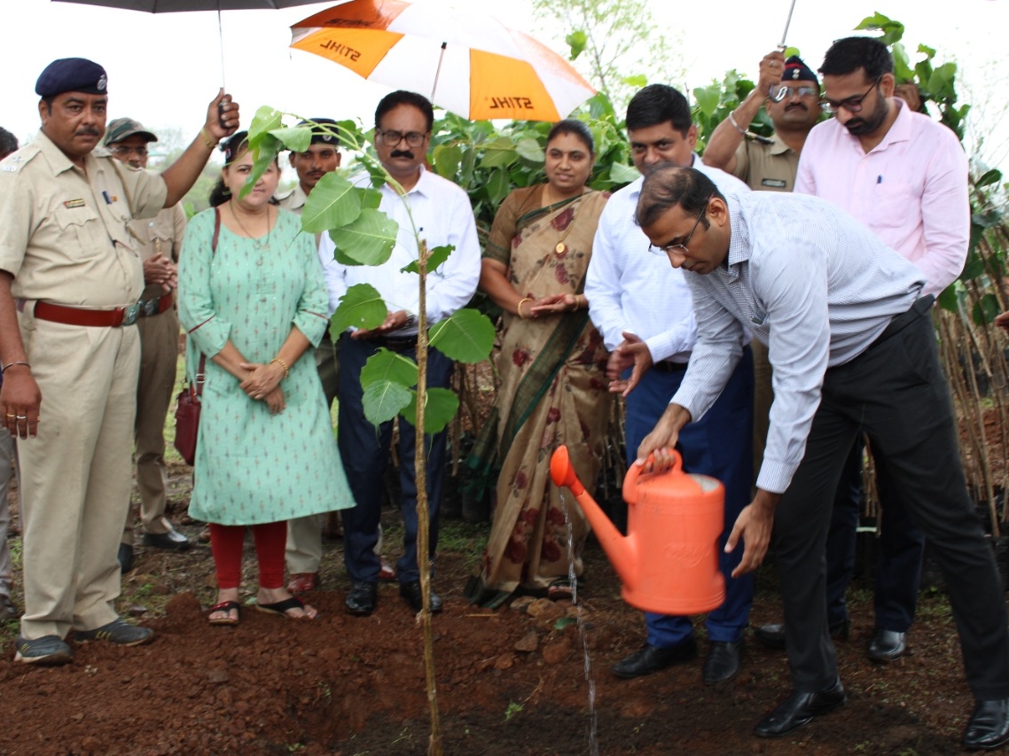 Will plant trees on 10 hectares in Landorkhori; Information of Deputy ...