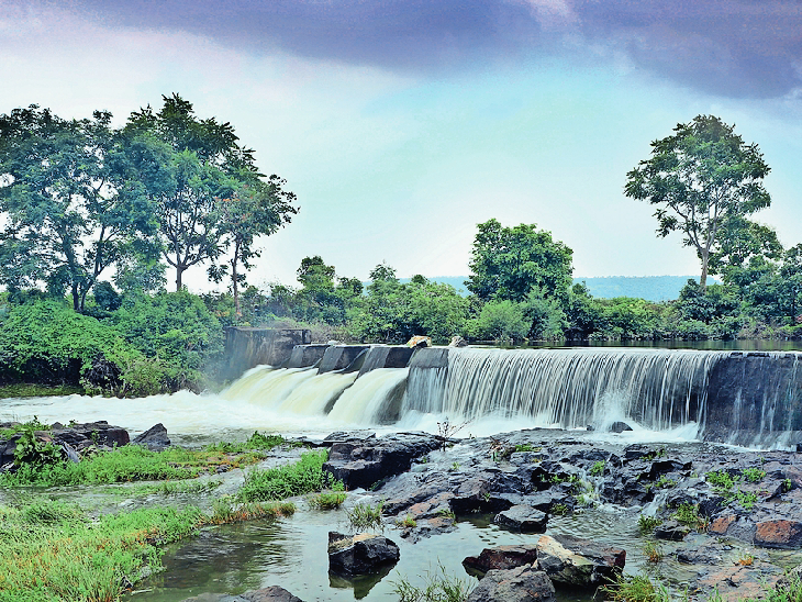 One and a half lakh hectares of Shiwar in the district at a cost of ...