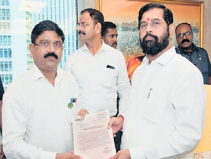 Declare relief by assessing damages; Damage to Soybean, Udid, Mung, Tur ...