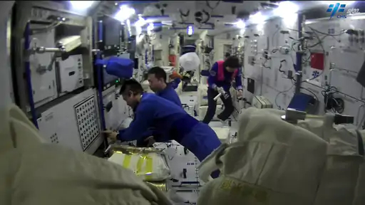 Chinese astronauts grow rice in space, latest news and update | VIDEO ...