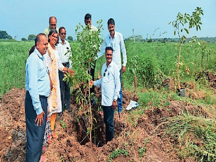 Plantation of trees by District Collector Nima Arora at Vipassana ...