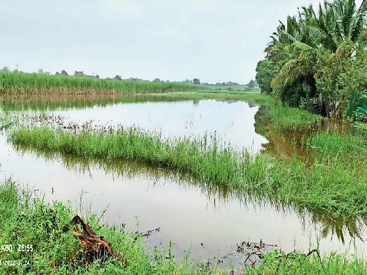 Kolgaon Mal storage tank burst, 50 hectares under water; dam built ...