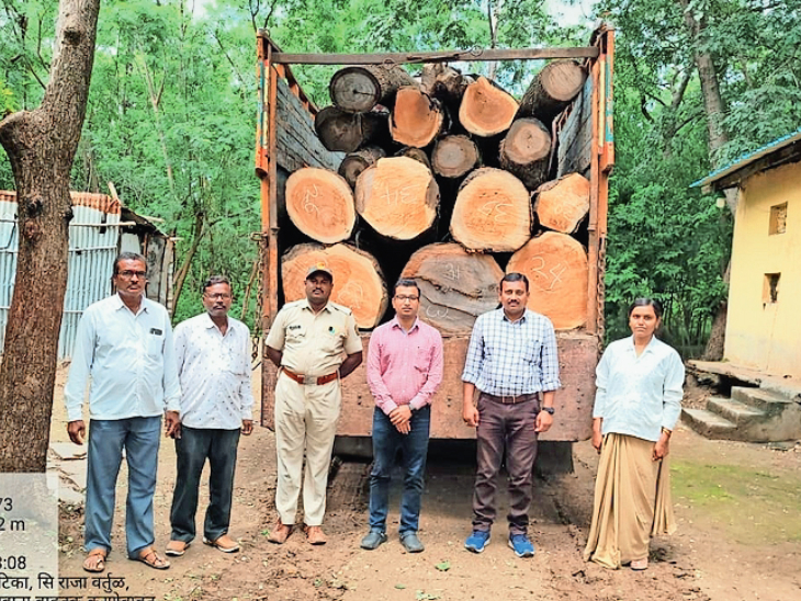 A truck carrying illegal timber was caught | ट्रक: लाकडाची अवैध वाहतूक ...