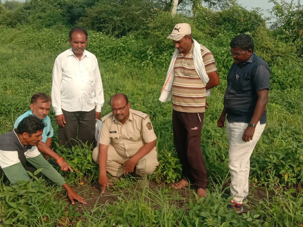 Panic among farmers, farm workers; Trap cameras installed by forest ...