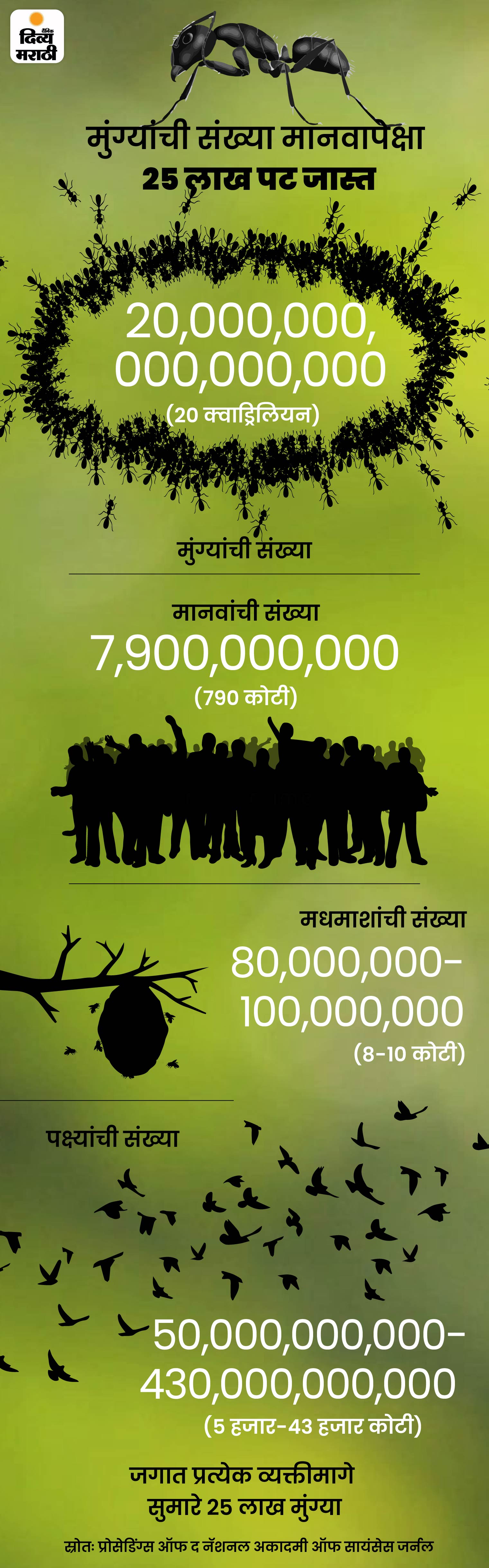 ant population on earth is two crore billion, not a single ant on polar ...