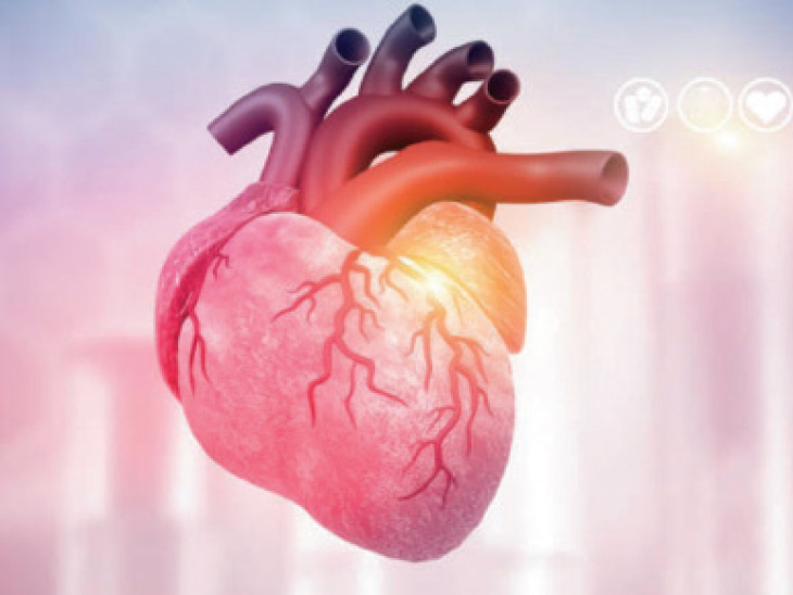 A to Z about a healthy heart, everything you need to know about heart ...