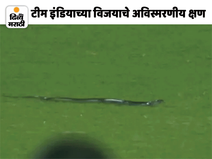 When a snake entered the field, Rohit got angry with the umpire and ...