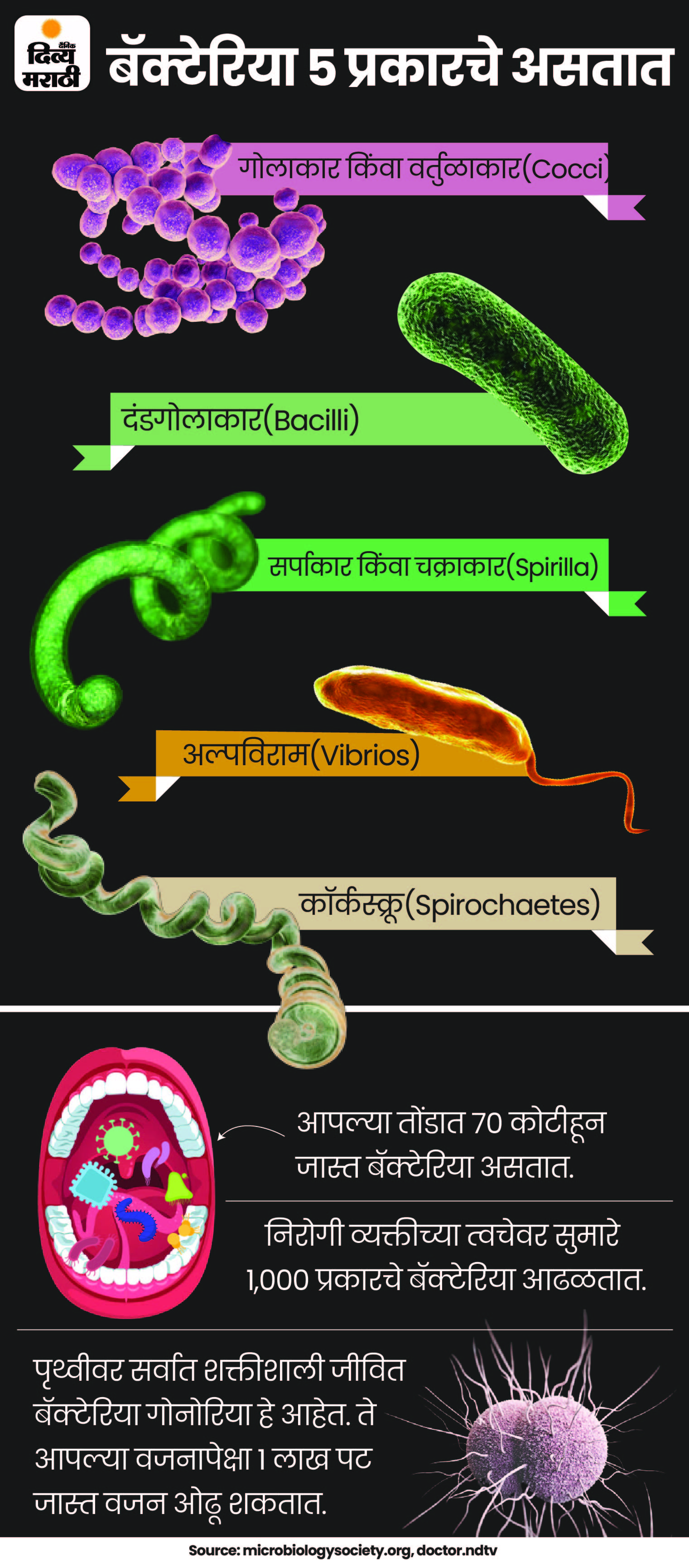 West Bengal Flesh Eating Bacteria Death; Necrotizing Fasciitis Bacteria ...