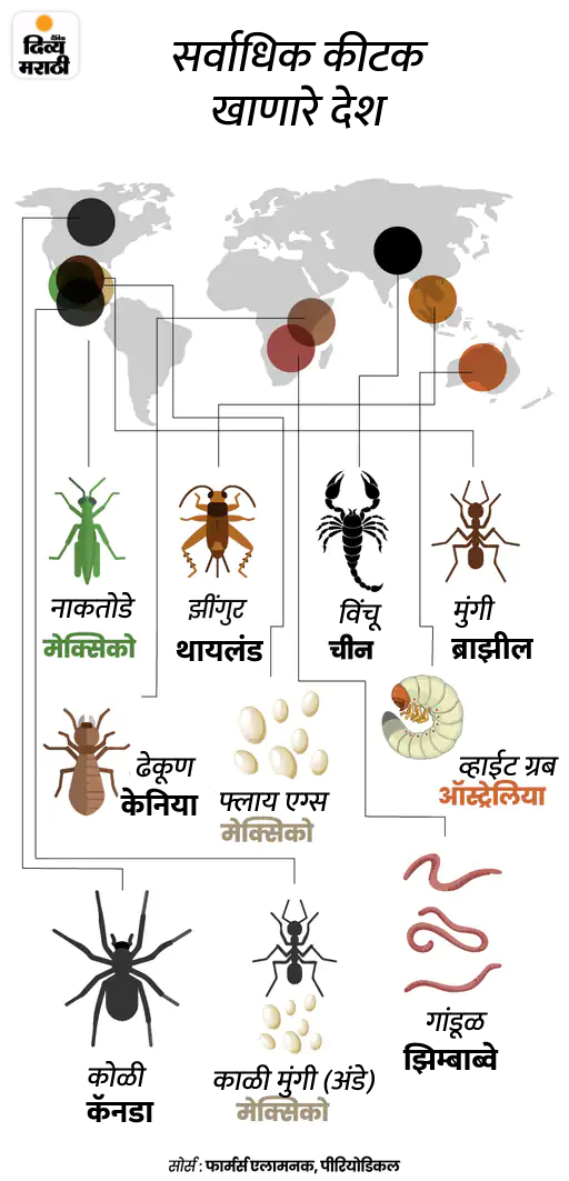Insects Pain Research Explained; insects pain index | Science News ...