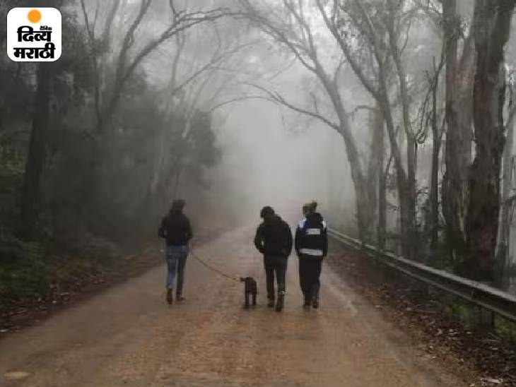 Maharashtra Weather Update; Marathwada Climate Change | Cold Wave ...