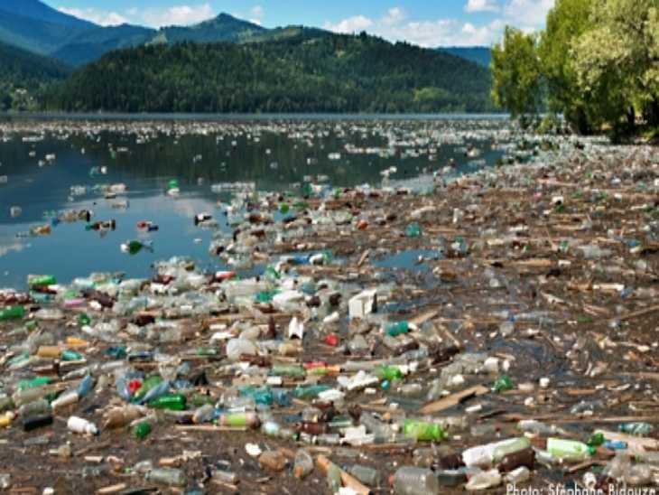 A joint inspection will be conducted by an expert team to control the ...