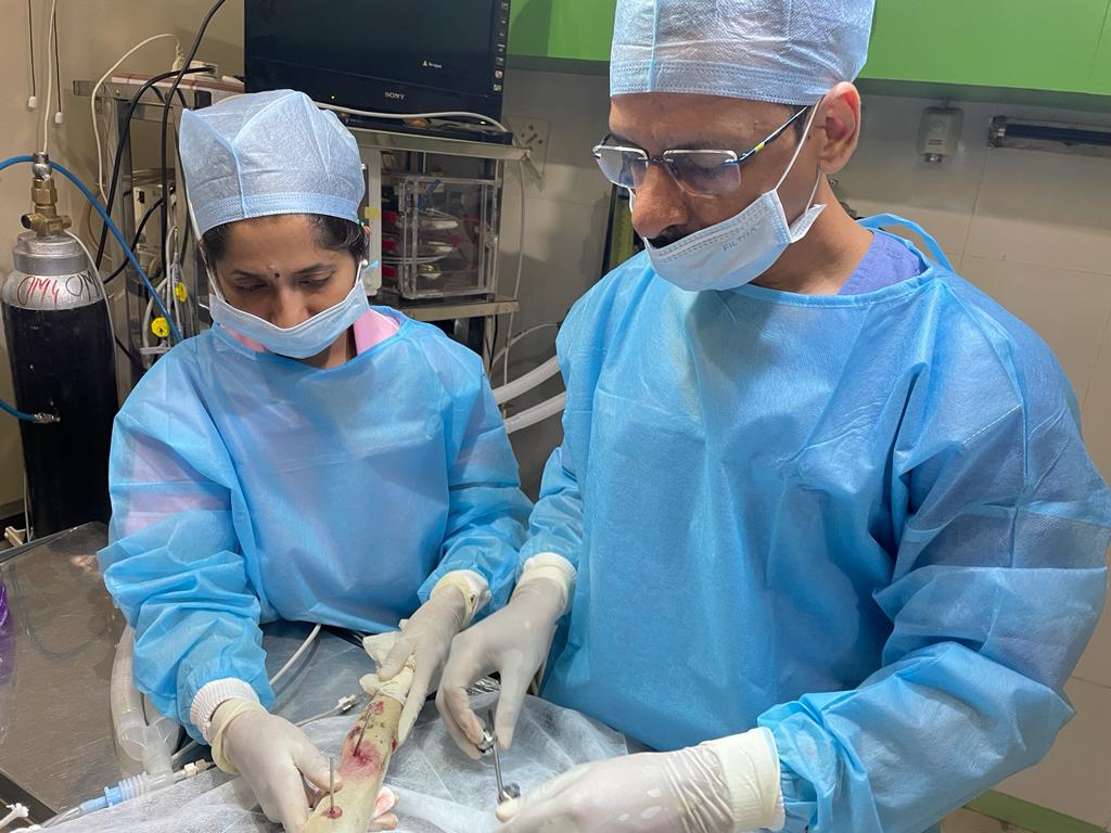 Laparoscopic gallbladder surgery now in pets too; India's first ...