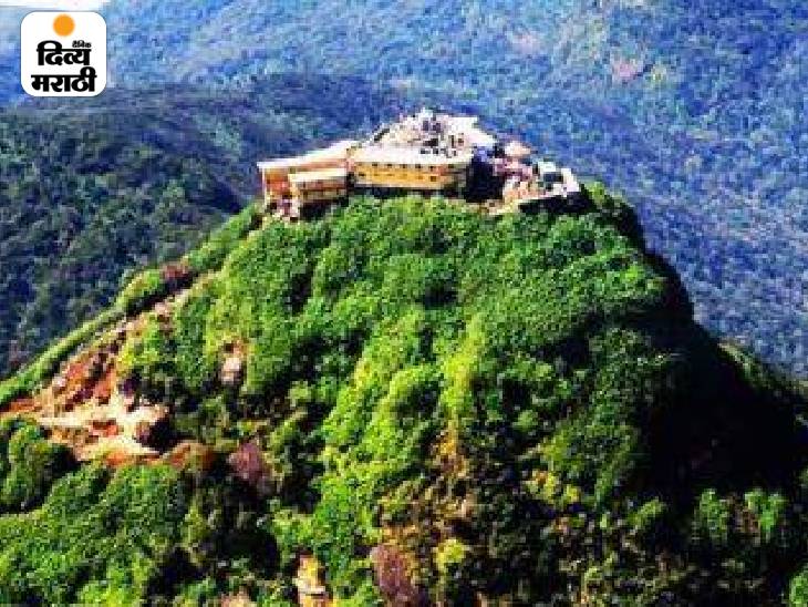 Sanjeevani in Ramayana, Seebkatharn is found in the snow mountain ...