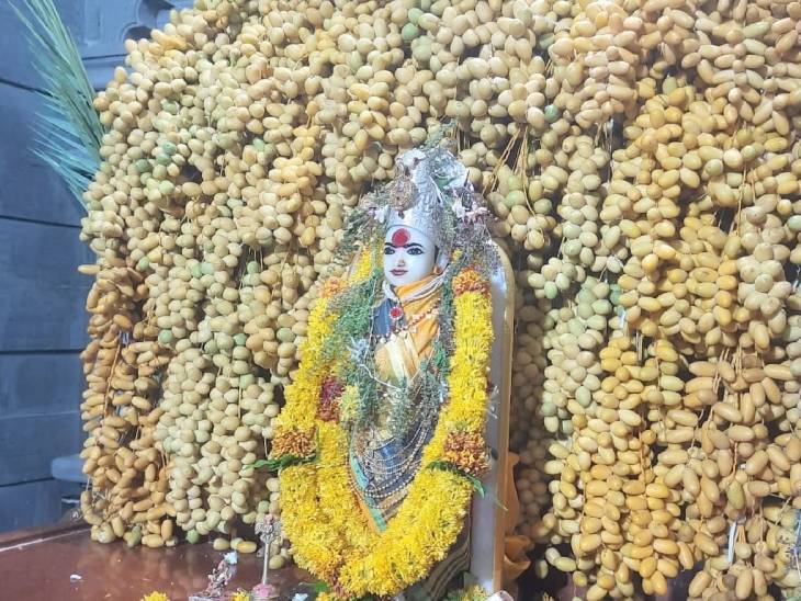 Ashadhi Ekadashi, 1/4 quintal of date palms at Sant Muktabai Temple ...