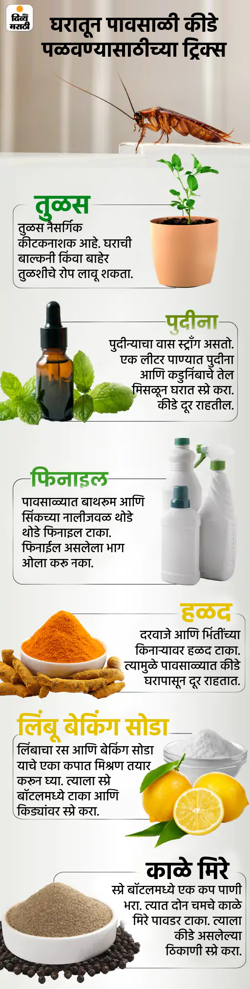 Monsoon Season Effective Tips To Get Rid Of Monsoon Insects Bugs | उपाय ...