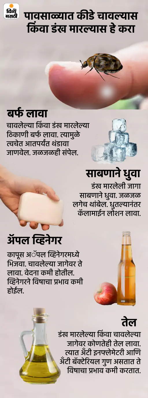 Monsoon Season Effective Tips To Get Rid Of Monsoon Insects Bugs | उपाय ...