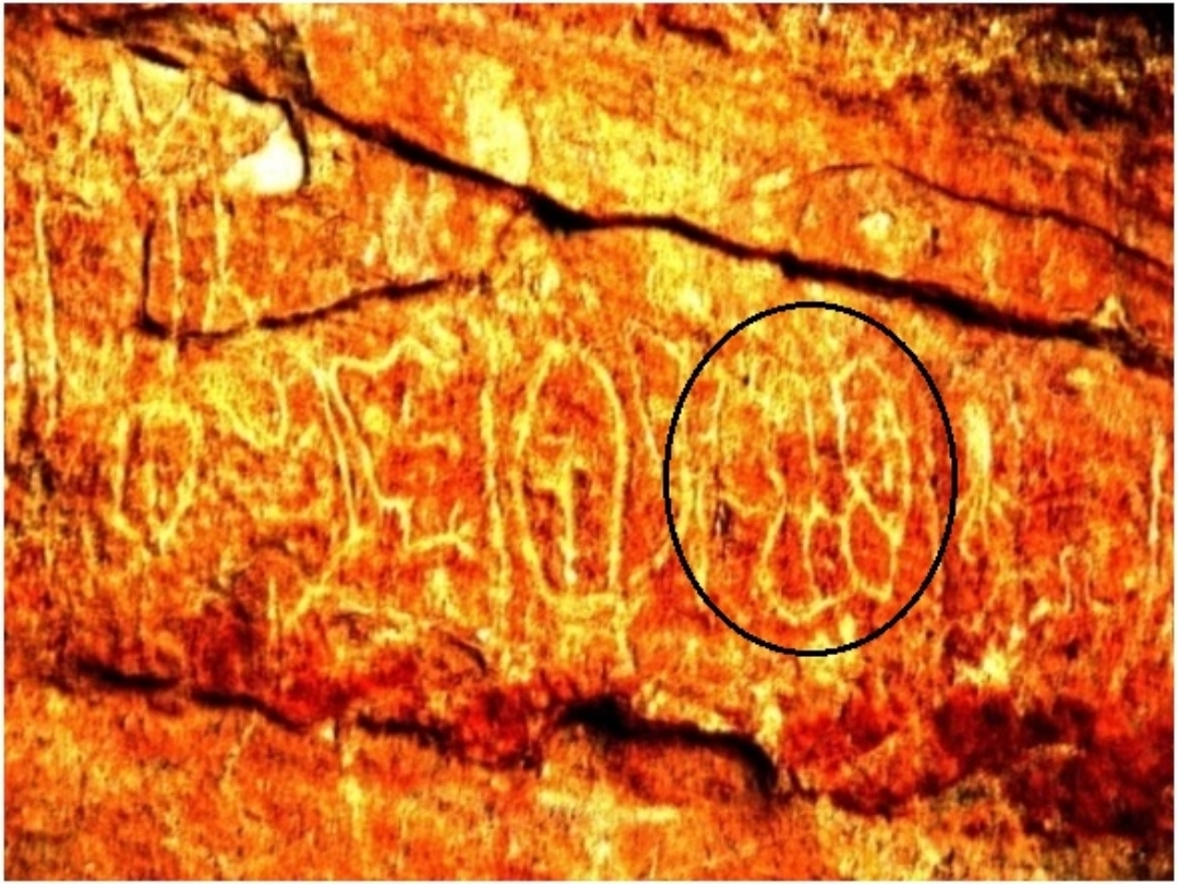 Patentman Dr. Ingole discovered 'Saptapadi Kamal' in the Satapuda range ...