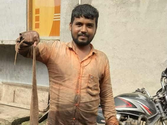 satara news Ghorpad was hunte case forest department arrested one ...