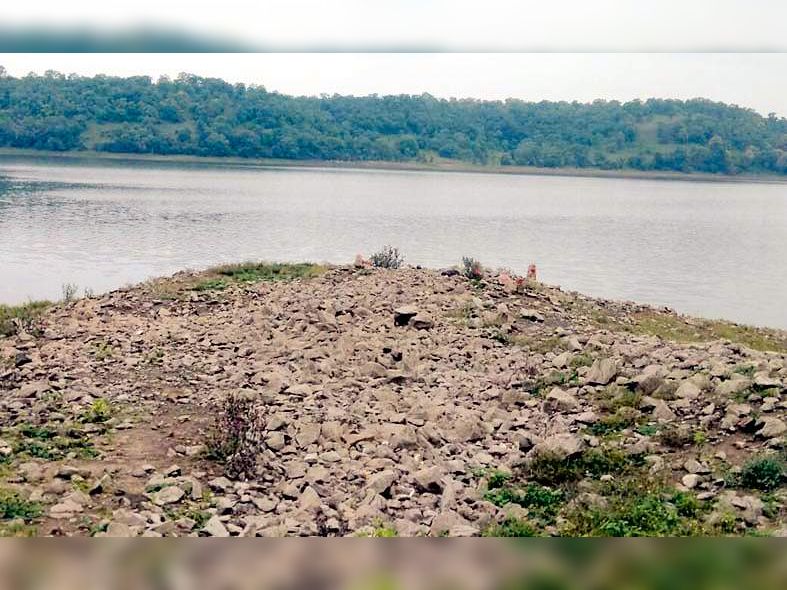 Due to scarcity of water in Ashti Lake, there is water crisis in Madha ...