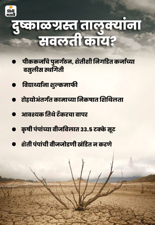 Maharashtra Weather Update; El Nino Impact Explained | Temperature ...
