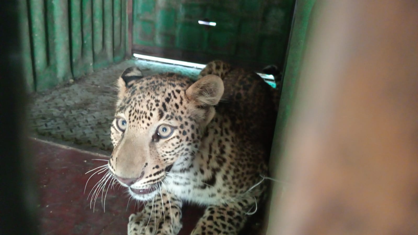 Latest Nashik News (नाशिक समाचार): वाचा 12 एप्रिल च्या ताज्या समाचार ...