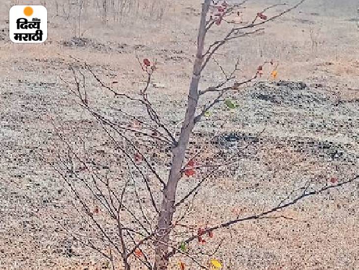 Heat Wave In The State; Rise In Temperature; Pune, Nashik, Dhule ...