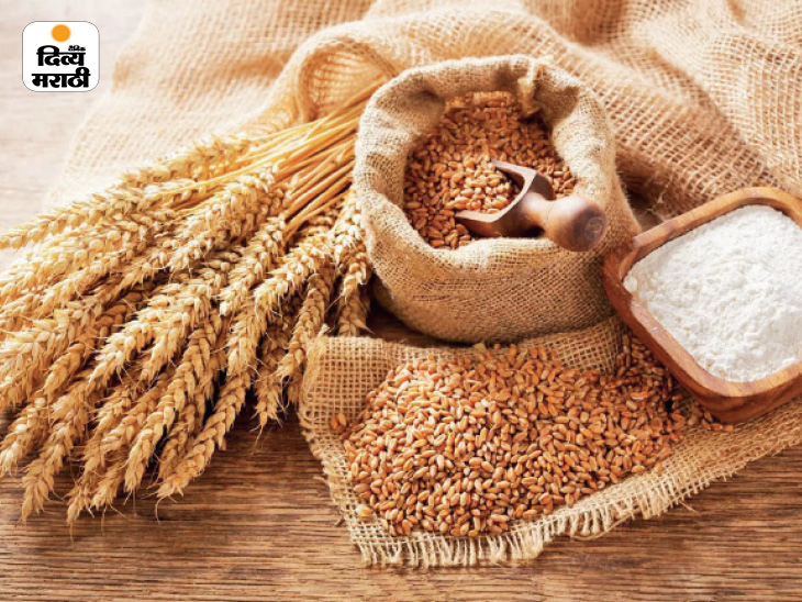 Flour will be expensive; Wheat stocks lowest in 16 years, timing of ...