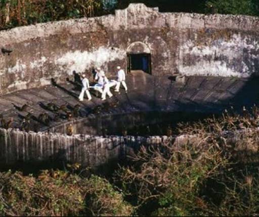 Ratan Tata Death Parsi Funeral Method Explained Parsi Community What Is ...