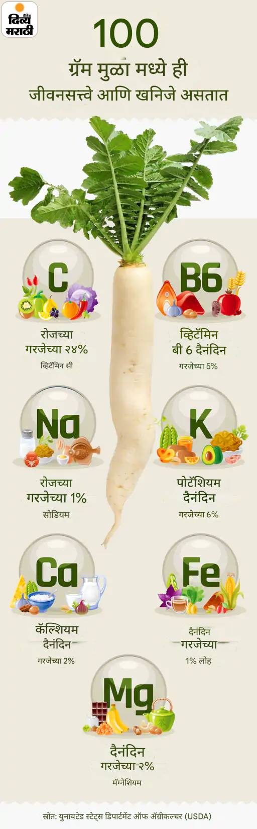 Winter Superfood; Radish Health Benefits Mula khanyache Fayde
