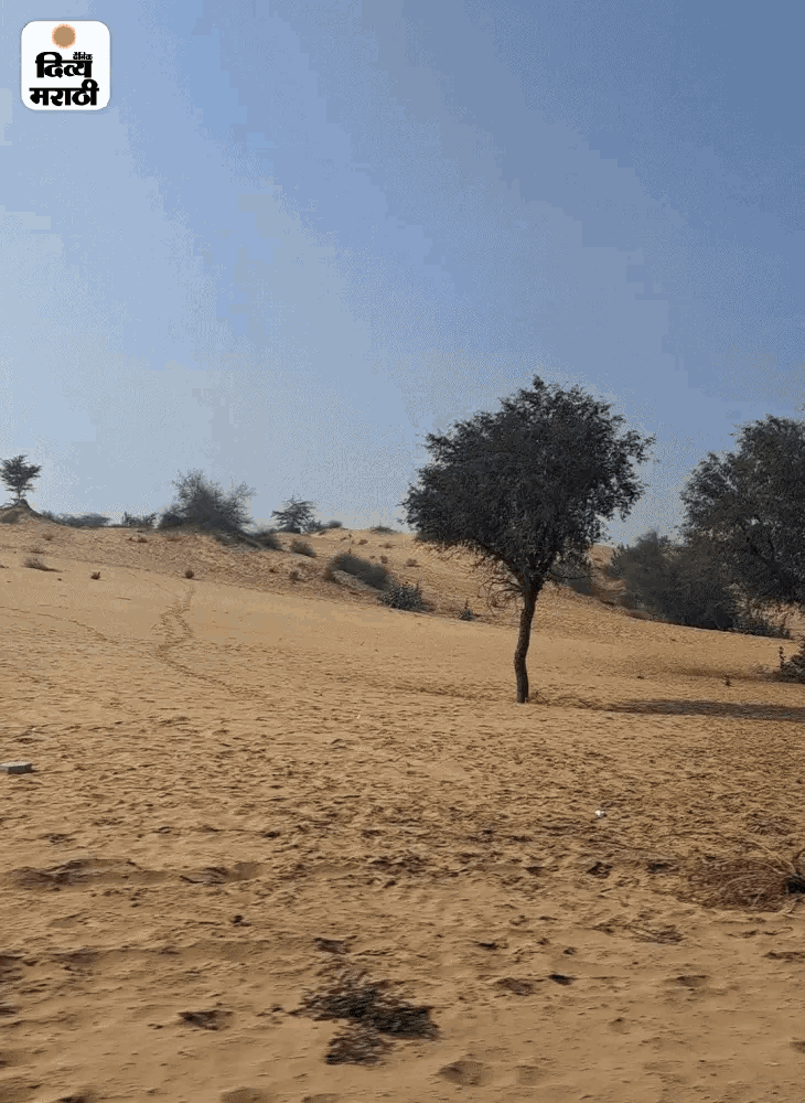 Rajasthan Govind Bhadu Success Story; Challenges Failures | Bikaner