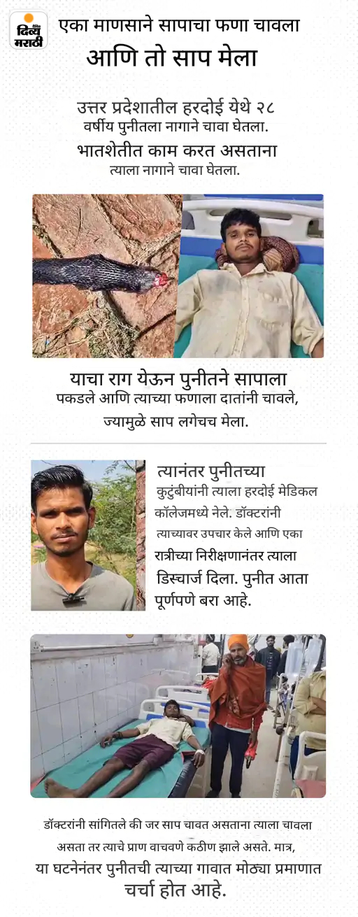 Khabar Hatke Trending Facts; Snake Like Skin Cream | Avisha Tewani Hand ...