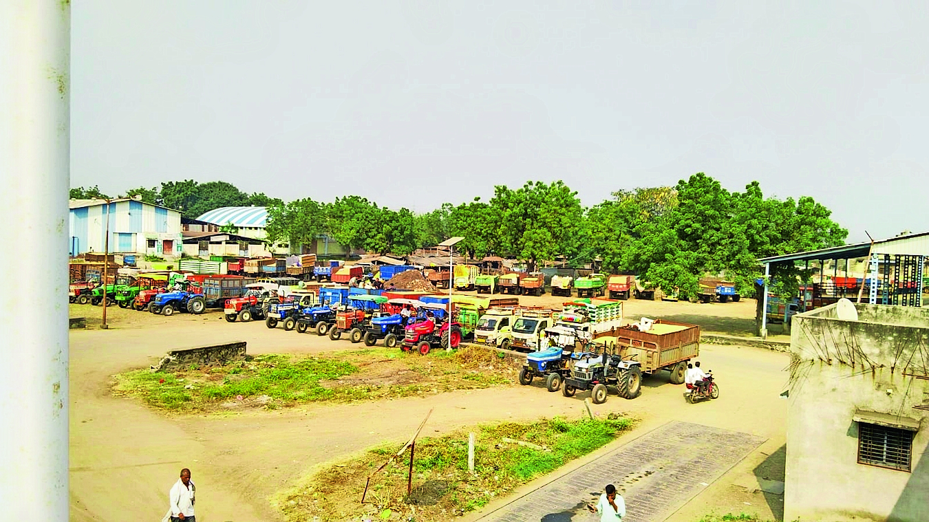 Dondaicha market committee receives 1,000 quintals of maize daily from ...