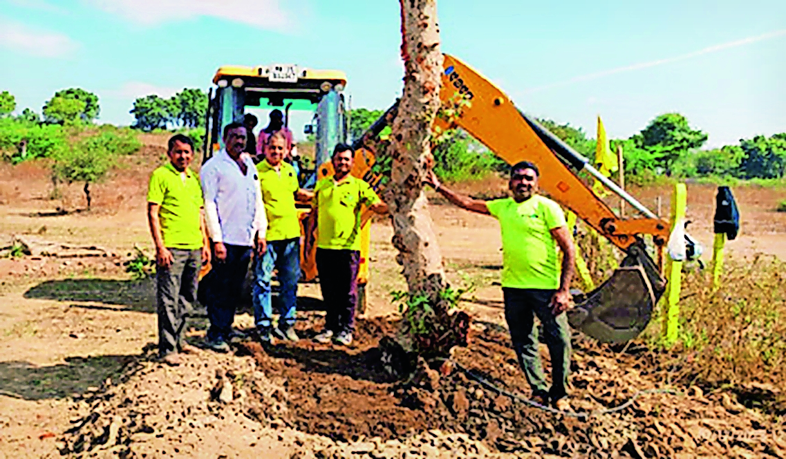 Tree lovers from Khamgaon salute the relocation of 70-year-old trees in ...