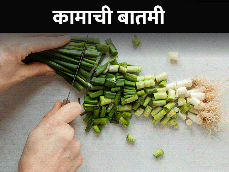 Spring Onions Health Benefits Explained; Nutrition Values | कांद्याच्या ...