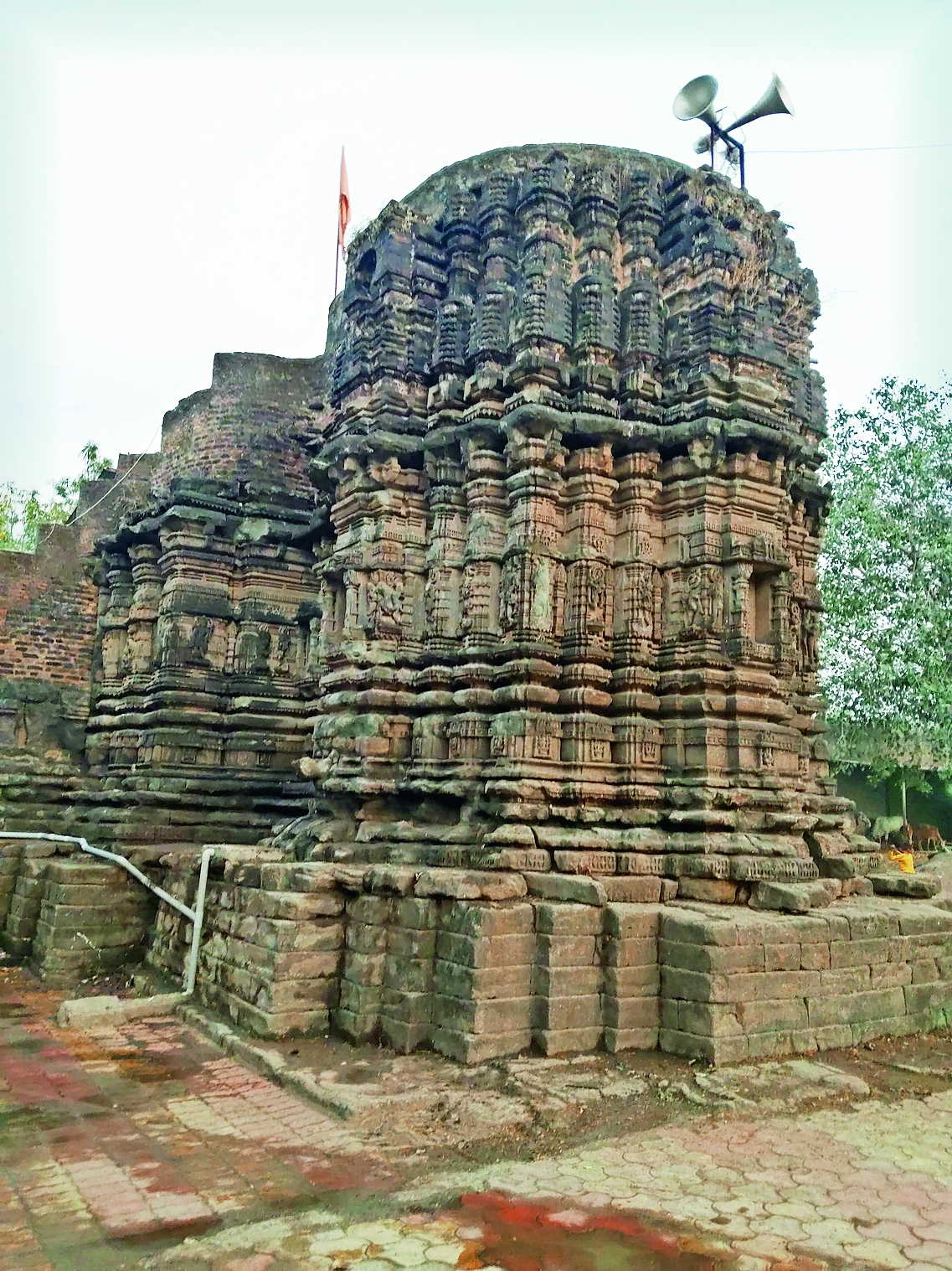 5,501 Shiva Pindis will be worshipped and anointed on Mahashivratri in ...