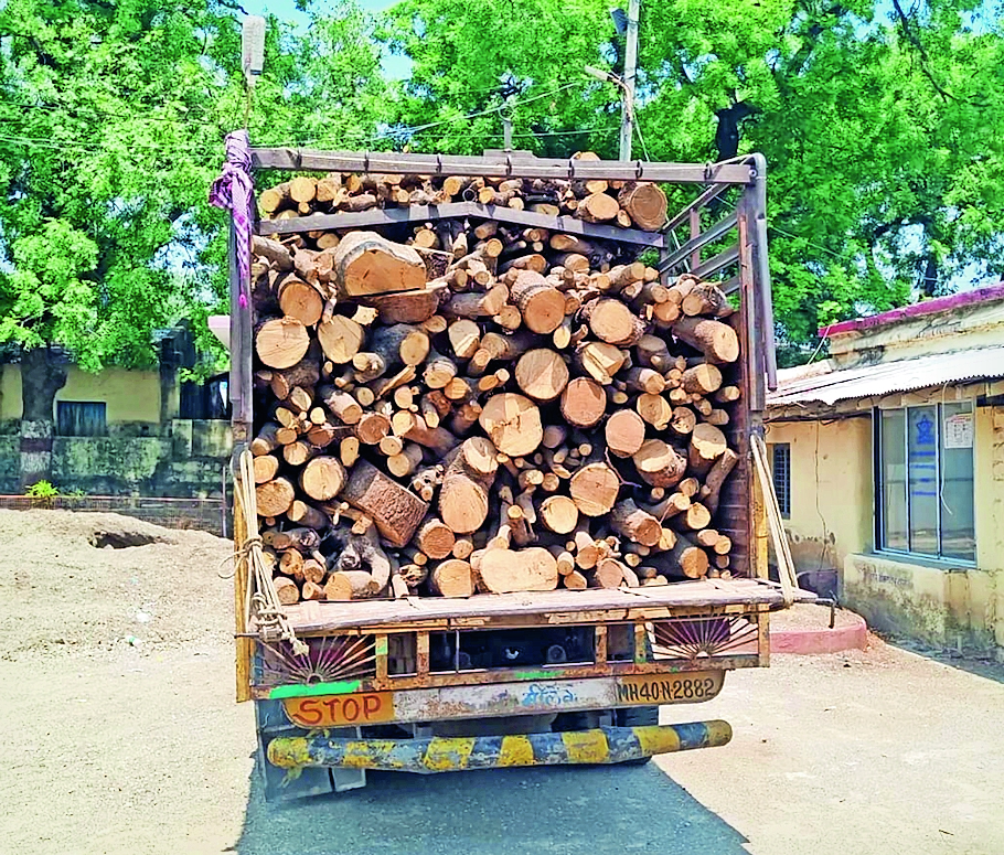 Police seize vehicle loaded with illegal wood, forest department ...