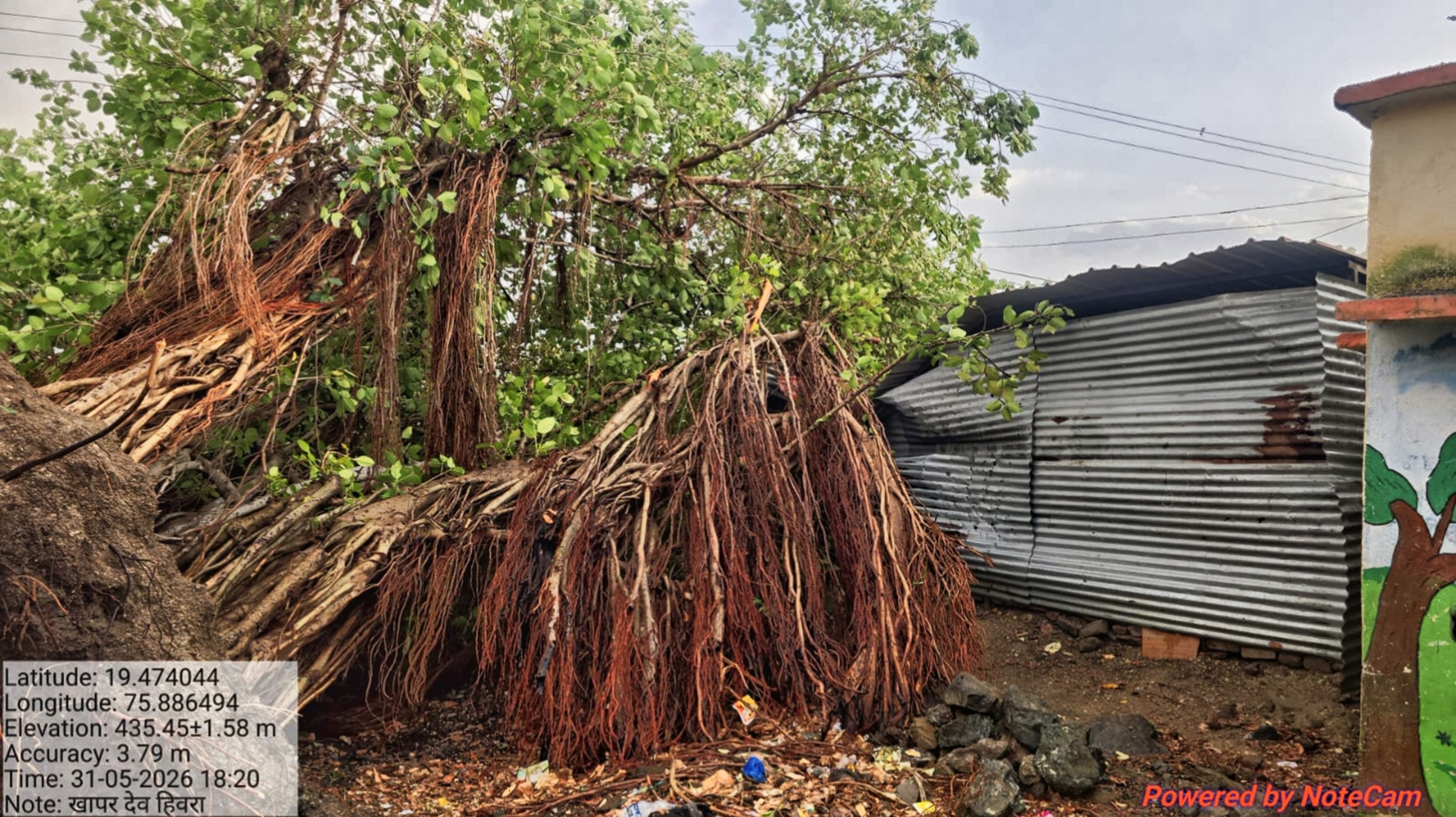 Trees fell, solar panels blew away; power supply disrupted