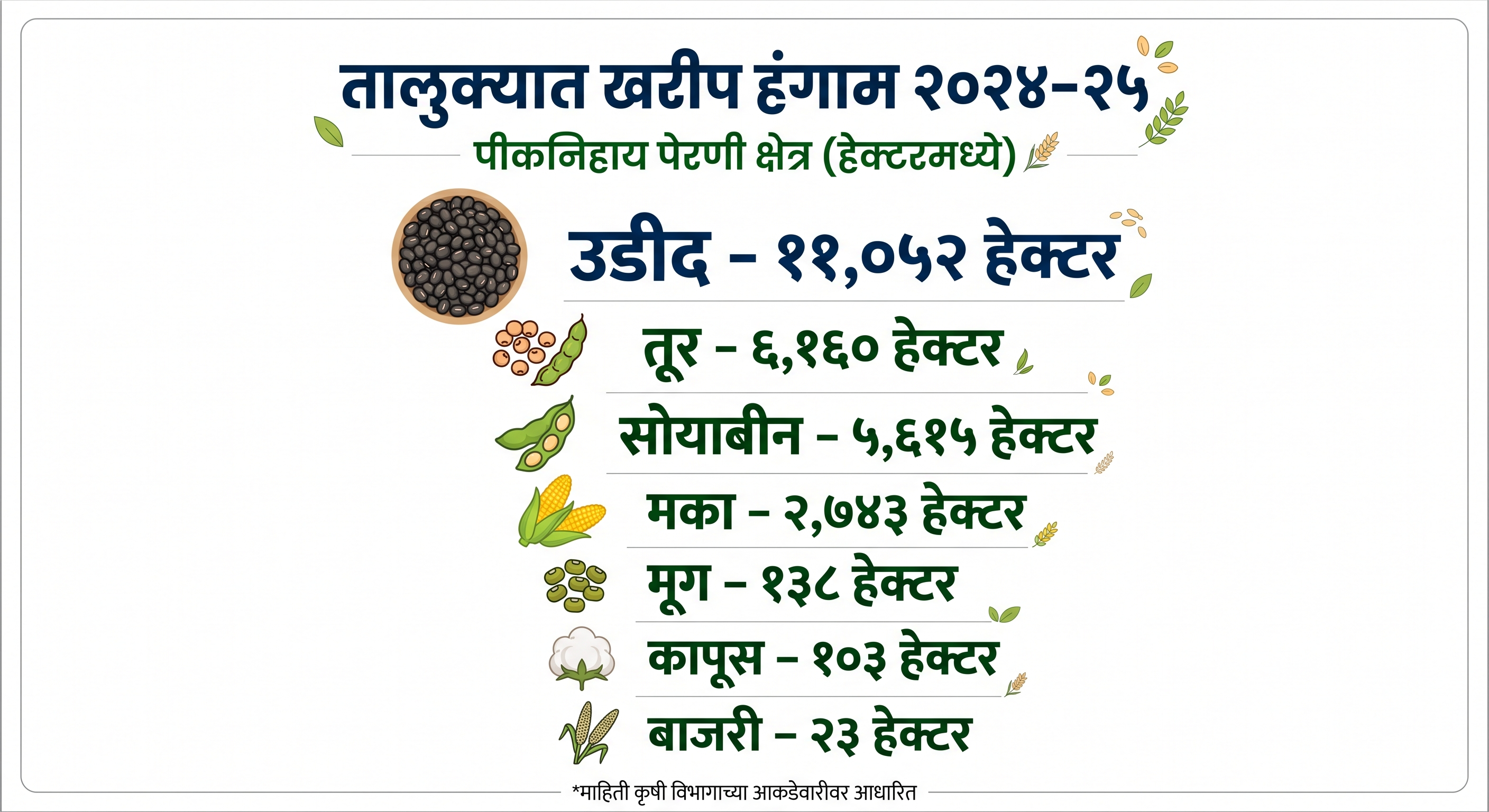 Sugarcane has increased in Paranda, the average area will decrease ...